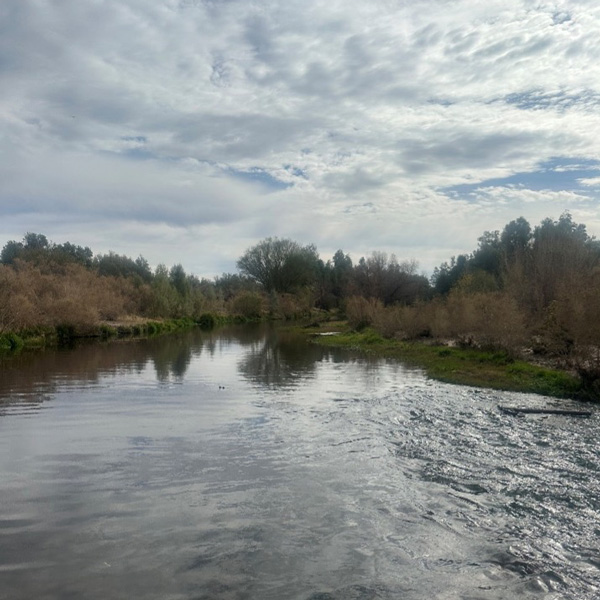 Arizona Project WET - Ghost Rivers Haunt Arizona | Water Resources ...