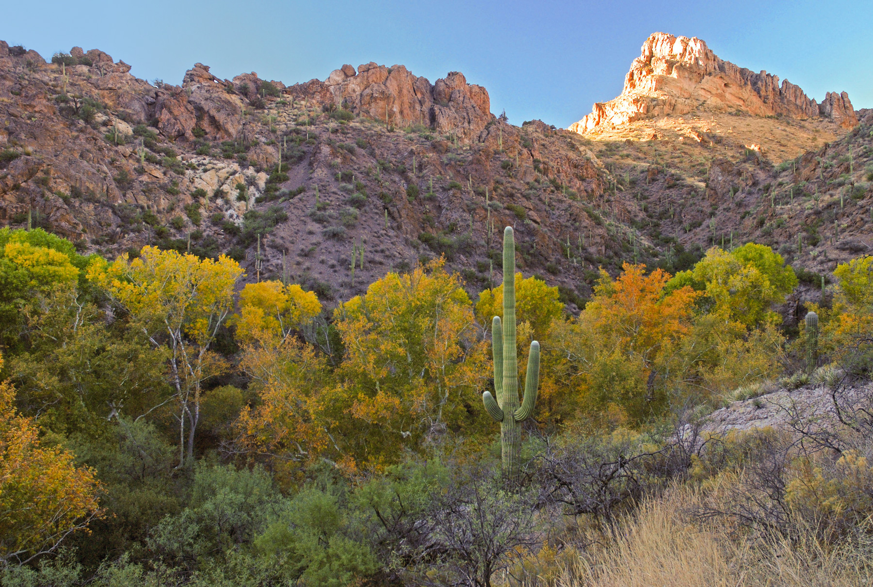 What’s Next? Upcoming WRRC Fall Events | Water Resources Research ...